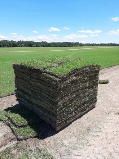 Woerner Family Legacy - Woerner Companies