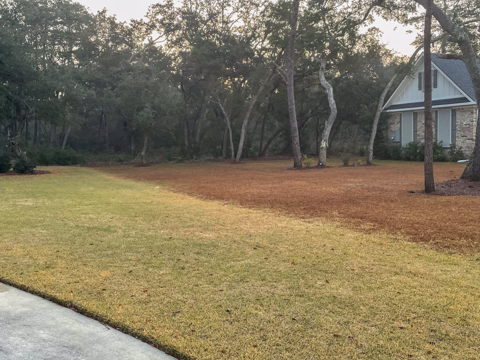 The Premier Gulf Coast Landscape Source - Woerner Companies